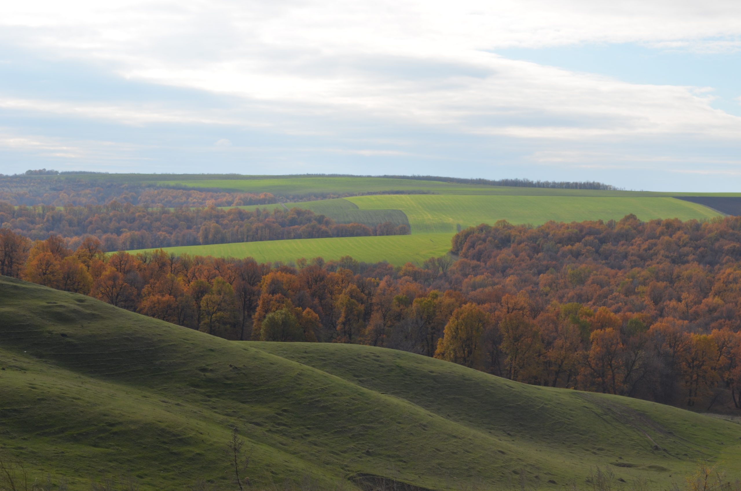 Divin PGI - Wine of Moldova