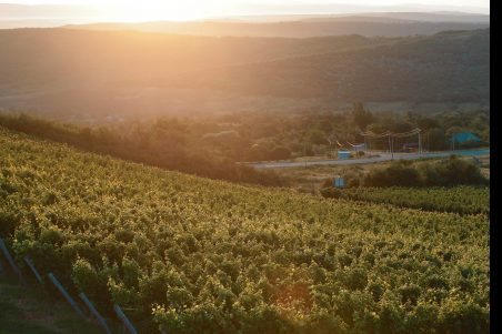 Wine Regions - Wine of Moldova