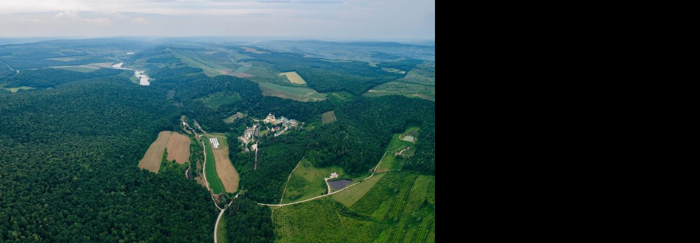 Codru PGI - Wine of Moldova