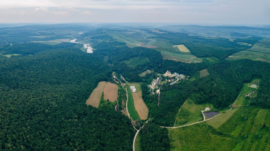 Codru PGI - Wine of Moldova