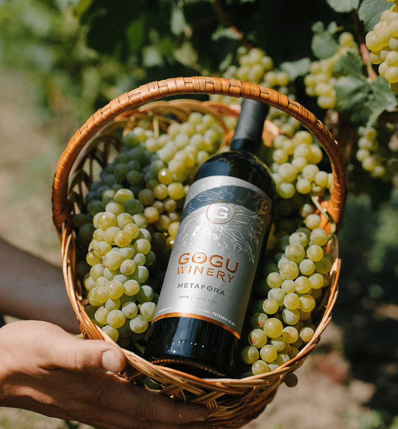 GOGU Winery - Wine of Moldova