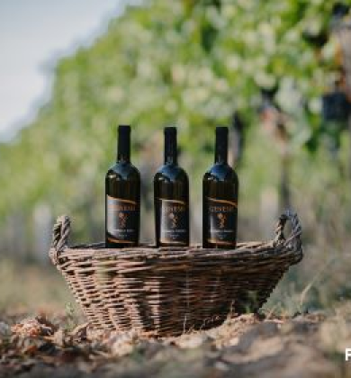 Podgoria Vin - Wine of Moldova