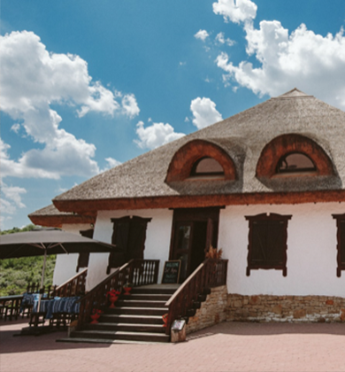 Asconi - Wine of Moldova