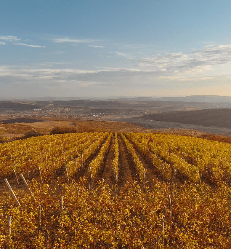 Crama Mircesti - Wine of Moldova