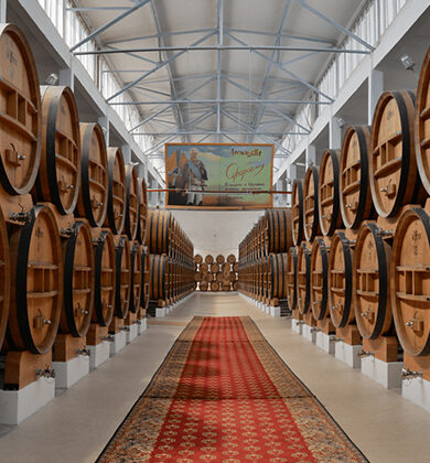 Kvint - Wine of Moldova