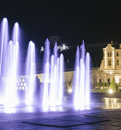 Castel Mimi - Wine of Moldova