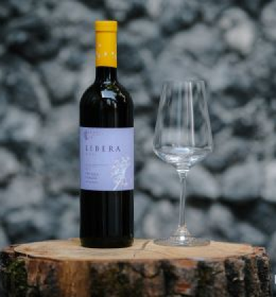 Podgoria Vin - Wine of Moldova