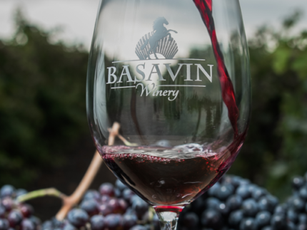 Visit Moldovan Wineries - Wine of Moldova