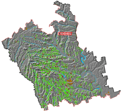 Codru PGI - Wine of Moldova