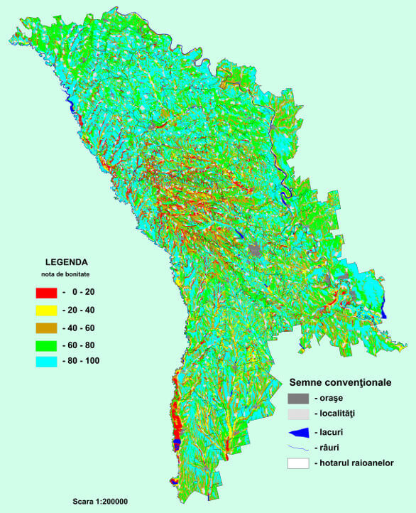 Divin PGI - Wine of Moldova